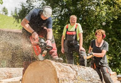 Chainsaw Carving - Woodcarving School Geisler-Moroder
